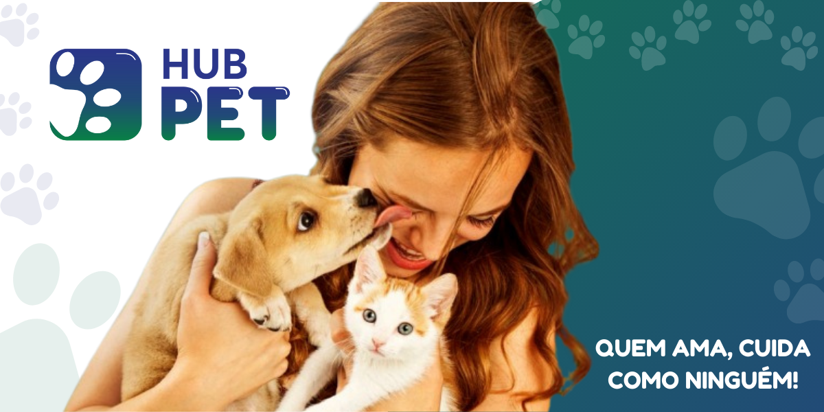 Hub Insurance firma parceria com a Visa e amplia oferta de benefícios ...